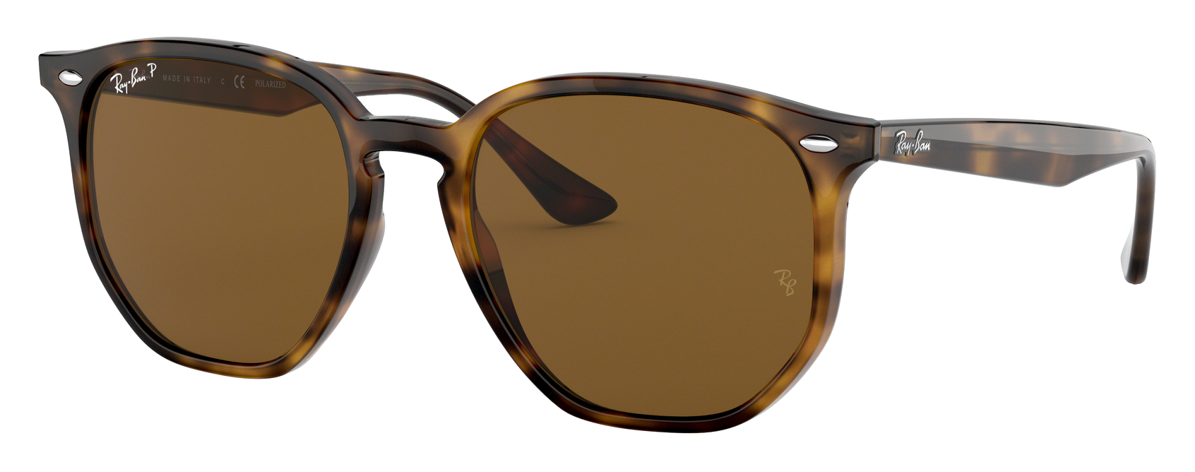Ray-Ban RB4306 Polarized Sunglasses | Bass Pro Shops
